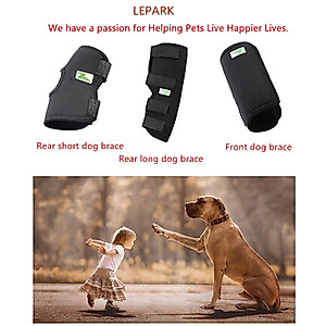 Rear Dog Leg Brace One Pair Heals Hock Joint Wrap Sleeve for Hind Legs(L/Long)