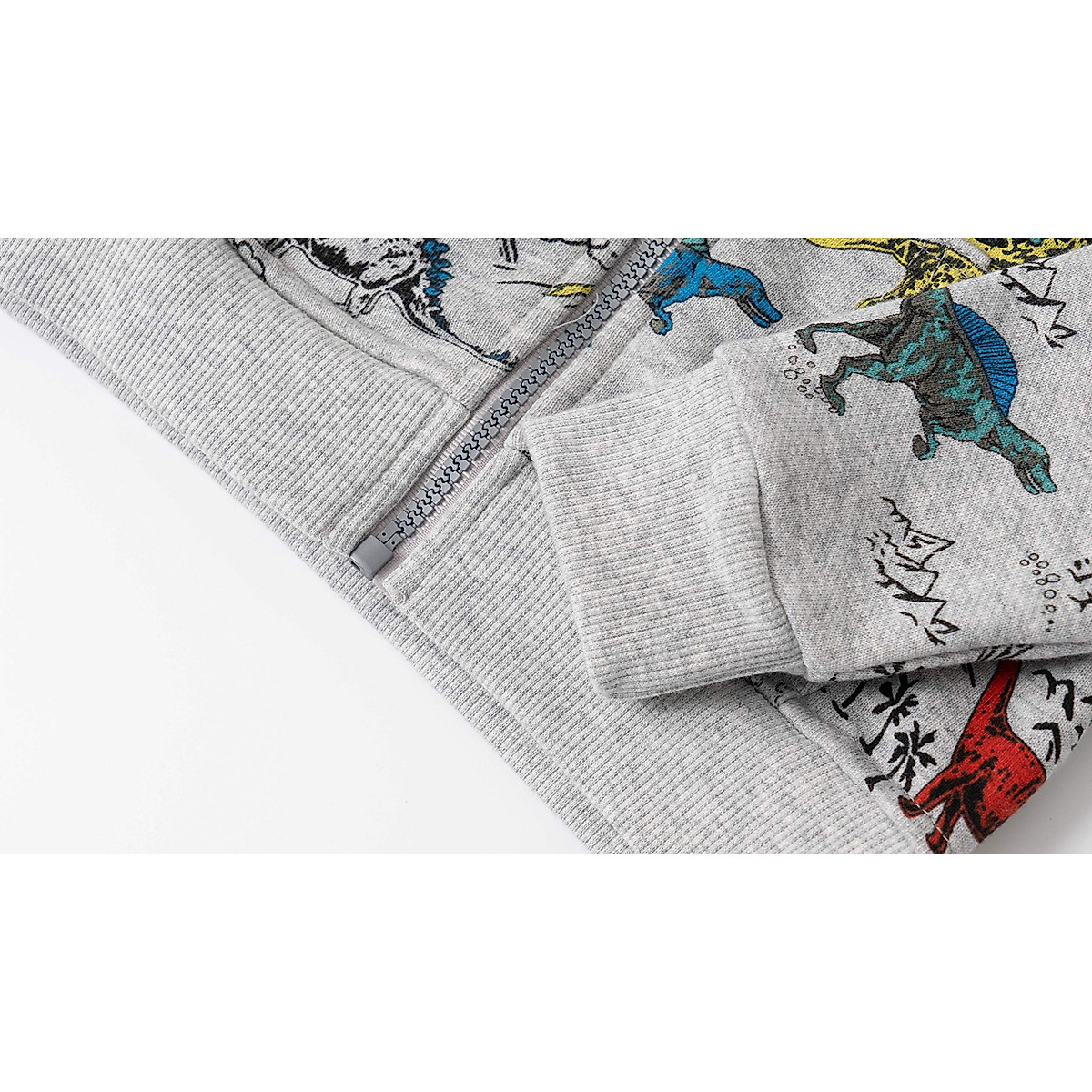 HUAER& Baby Boys' Cotton Cartoon Fox Zip Front Jacket Hoodie Sweatshirt (2-3T, Dinosaur)