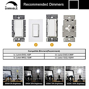 OMAYKEY 12W Dimmable Large LED Globe Bulb 100W Equivalent 1000 Lumens, 5000K Daylight White E26 Medium Base, Vintage Edison G125 Large Globe Clear Glass LED Filament Light Bulb, Deep Dimming Version