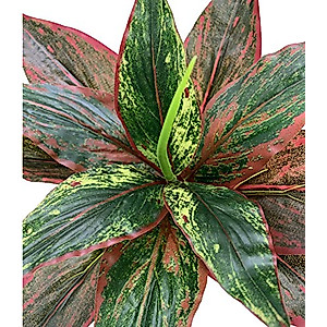 CATTREE Fake Plants Artificial Plant Outdoor Shrubs Faux Grass Plastic Leaves Greenery Bushes Home Garden Wedding Party Decorations Indoor Office Yard UV Resistant Planter Filler Red 2 Pack