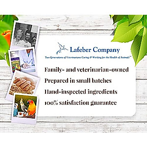 LAFEBER'S Tropical Fruit Nutri-Berries Conure Food, Made with Non-GMO and Human-Grade Ingredients, for Conures (Tropical Fruit 10 oz)