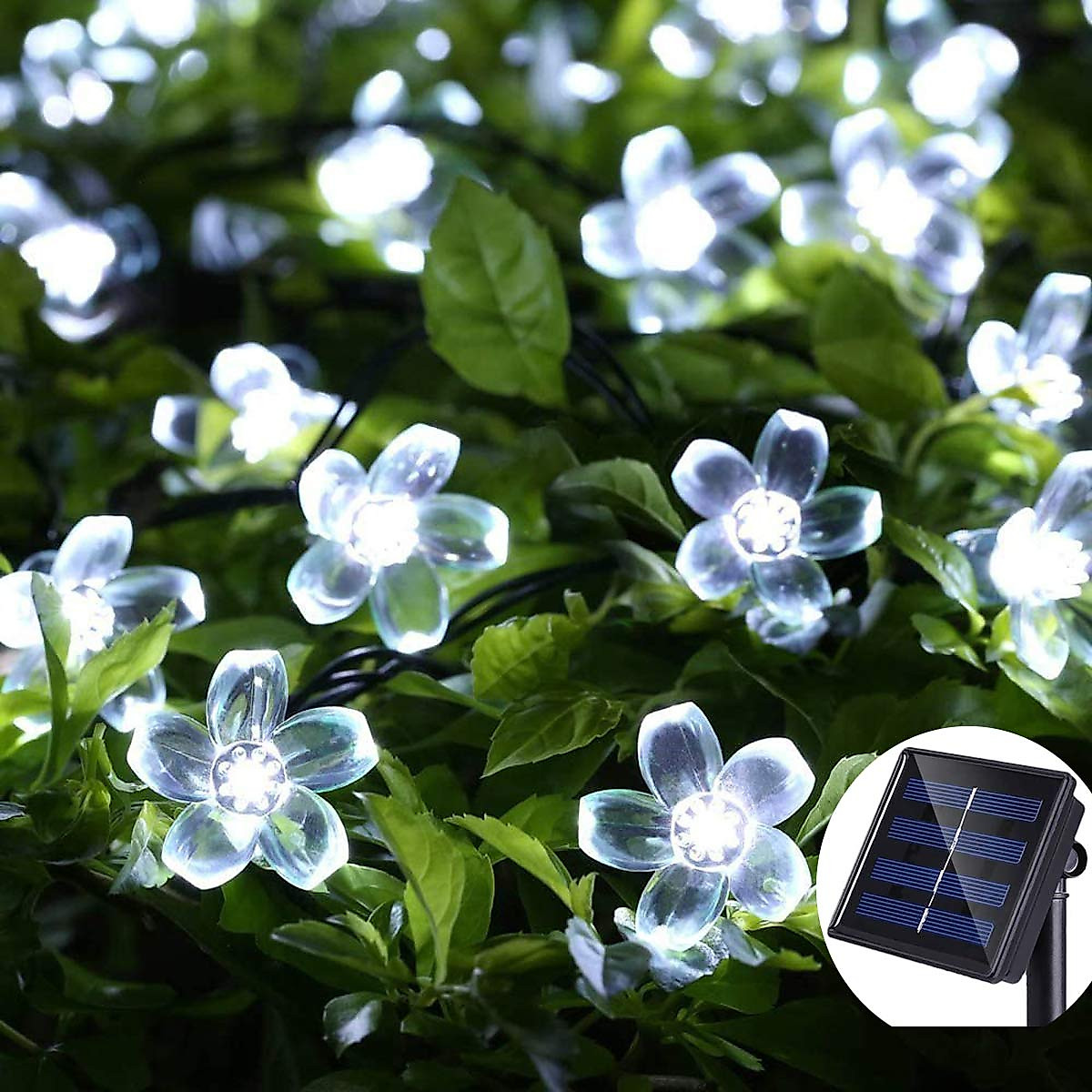 Solar Flower String Lights,AMZSTAR® 21ft 50 LED Peach Blossom Fairy Lights Indoor/Outdoor Decorative String Lights for Home Garden Patio Lawn Party and Weeding Decorations(White)