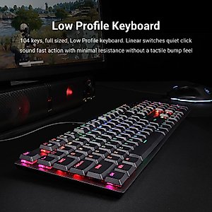 Redragon Mechanical Gaming Keyboard RGB LED Backlit Low Profile Wired Macro 96 Keys Red Switches, for Windows Gaming PC, Black