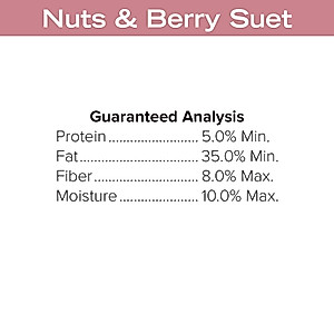 Blue Seal Nuts & Berry Suet Cake | No Mess Wild Bird Suet | 11 oz (12 Pack)