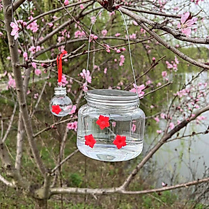 2Pack Mason Jar Hummingbird Feeder with Flower Feeding Ports for Outdoor Hanging Yard Garden Decoration Clear Reservoir Design, Portable 475ml,