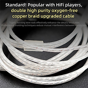 KZ ZSN Pro X in Ear Monitor, Wired Gaming Earbuds, HiFi KZ in Ear Headphones with Hybrid Dual Driver 1ba 1dd High Fidelity Musicians IEM Earphones with Detachable Tangle-Free Cable (with mic, Black)