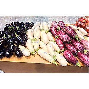 Seeds4planting - Seeds Eggplant Aubergine Long Mix Rare Thai Heirloom Vegetable Non GMO