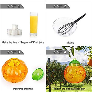 Aspectek Wasp Trap Outdoor or Indoor Hanging Helps You to Rescue from Insects, Yellow Jackets, Hornets, Honey Bees, Flies, Gnat, etc, 2 Pack