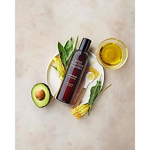 John Masters Organics - Shampoo for Dry Hair with Evening Primrose Good for Thinning, & Color Treated Hair - Moisturizer Infused with Essential Oils, Proteins, & Amino Acids - Sulfate Free - 8 fl oz (Pack of 1)