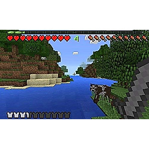 Minecraft: New Nintendo 3DS Edition - Nintendo 3DS (Renewed)