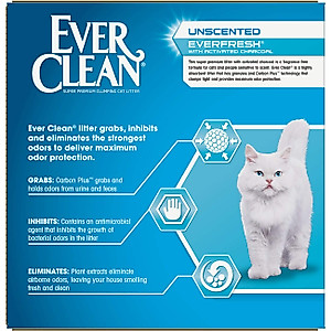 Ever Clean Ever Fresh Litter with Activated Charcoal , Unscented, 25 Pounds