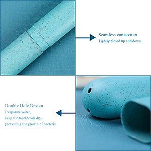 Travel Toothbrush Case Plastic Portable Toothbrush Holder for Travel, Business, Home, Camping, School(2 Pcs, Blue)