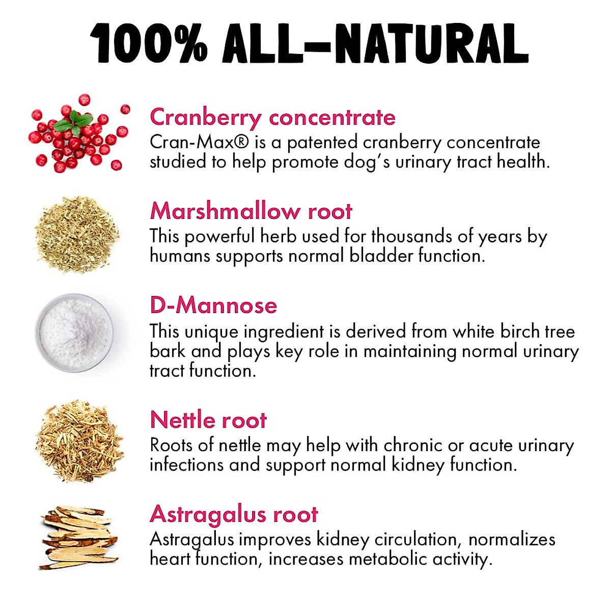 Cranberry UTI Chews for Dogs Bladder Support + D-Mannose Supports Kidney Urinary Tract and Bladder Health Natural Cranberry Wellness Supplement Immune System Booster Natural Pet Antioxidant 120 Chews