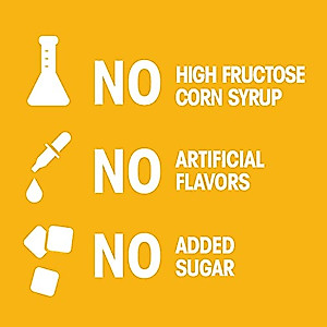 PEDIGREE Puppy Growth & Protection Dry Dog Food Grilled Steak & Vegetable Flavor, 3.5 lb. Bag