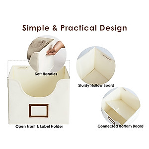 StorageWorks Closet Storage Bins and