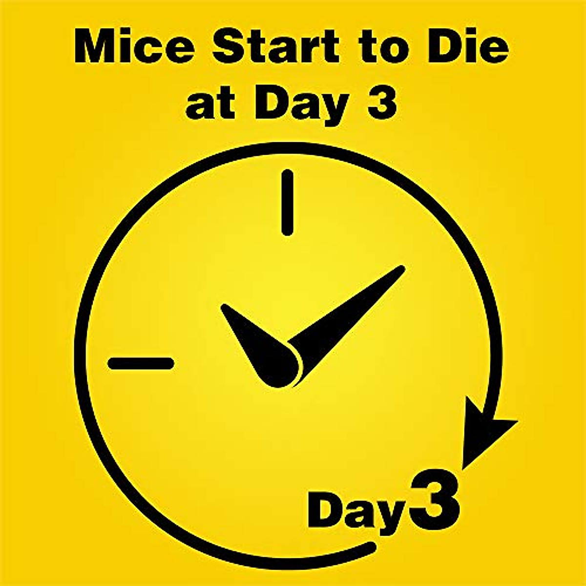 D-Con Refillable Mouse Bait Station, 1 Bait Station + 20 Refills