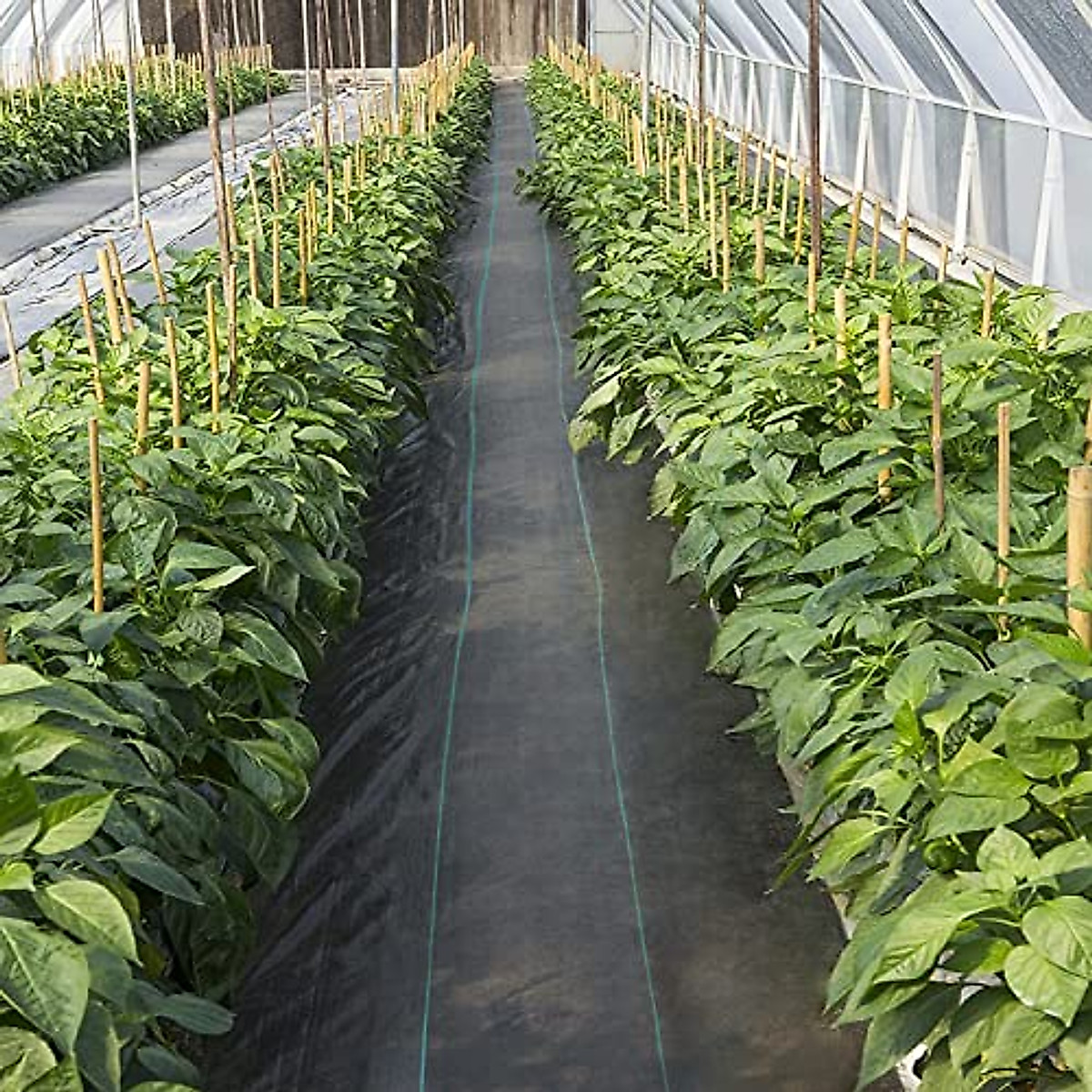 VEVOR Weed Barrier, 5.8oz Landscape Fabric, 4ft x 300ft Cover Mat Heavy Duty Woven Grass Control Geotextile for Garden, Patio, 4FT300FT-5.8OZ, Black