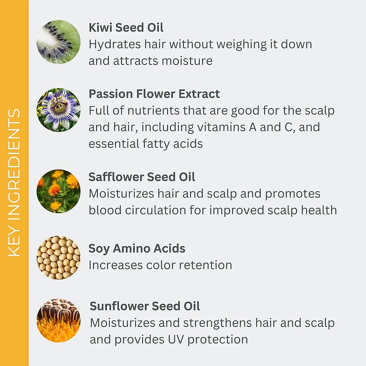 EVOLVh - Natural SmartColor Protecting Conditioner | Vegan, Non-Toxic, Clean Hair Care (8.5 fl oz | 250 mL) NEW PACKAGING