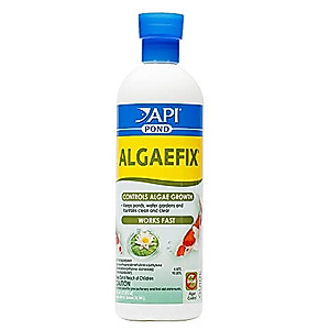 API POND ALGAEFIX Algae Control 16-Ounce Bottle (169B)