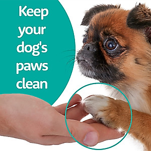 Evergreen Pet Supplies Dog Paw Cleaning Tablets - 100 Count, 4g Tea Tree Oil Fizz Tablets - Dog Itchy Paw Relief - Deep Cleans, Soothes, Moisturizes Yeasty Paw Pads - Helps Stop Frequent Paw Licking