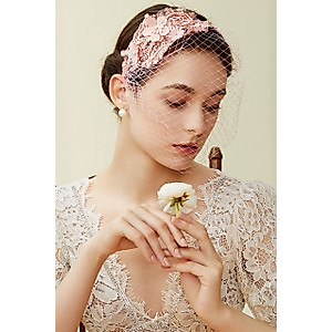 BABEYOND Bridal Wedding Veil Fascinator Mesh Lace Headband Tea Party Flower Fascinator Funeral Hats for Women