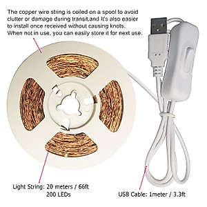 RUICHEN USB Fairy Lights 66 Ft 200 LED String Lights with ON/Off Switch, Waterproof Copper Wire Firefly Lights for Bedroom Wall Ceiling Wreath Christmas Easter Wedding Party (Multicolor)