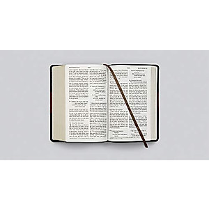 ESV Large Print Personal Size Bible (TruTone, Forest/Tan, Trail Design)