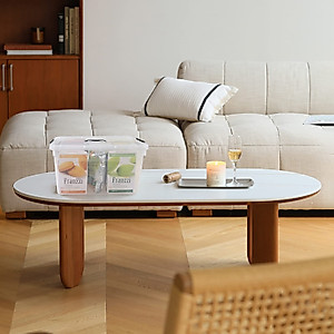 Tstorage 20-Quart Plastic Bins with Lid, Clear Plastic Boxes with Handles, 4-Pack