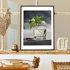 XEDOGIER P435-18X24-Brown