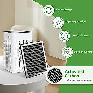isinlive 25 Replacement Filter Compatible with 25 Air Purifier S1/W1/B1, 3-in-1 H13 True HEPA Activated Carbon Filter, 2 Pack