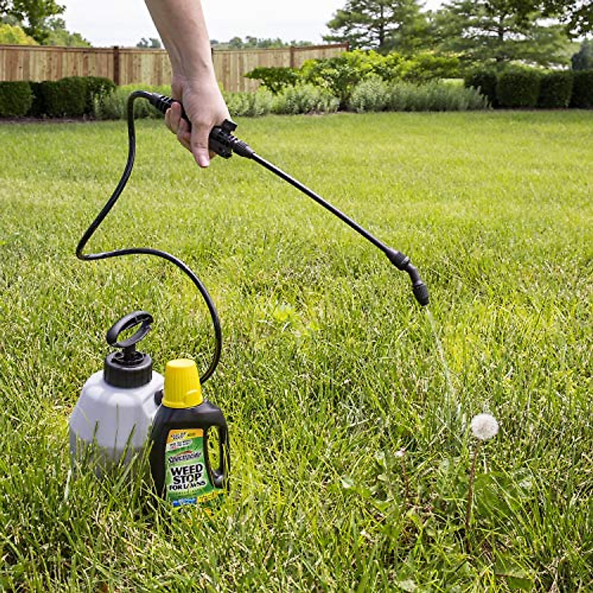 Spectracide Weed Stop For Lawns Concentrate2