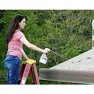 Thetford Premium RV Awning Cleaner for RV or Home Awnings 32 oz - Thetford 32518