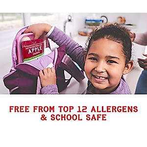 Nature's Turn Freeze-Dried Fruit Snacks, Strawberry Crisps, Pack of 6 (0.53 oz Each)