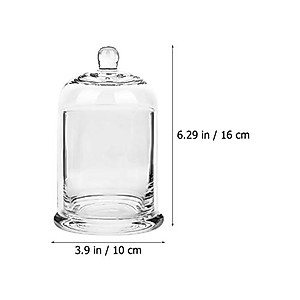 GANAZONO Decorative Cloche Jar 1 Set Glass Cloche Dome Candle Holder Bell Jar Tabletop Decorative Case Covered Plants Terrarium Jar Plant Cover for Cake Dessert Display Transparent Dessert Dome Cover