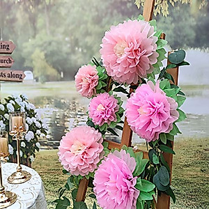 Mybbshower Pinks Flowers Decoration (11''-7'' Assorted) 6 pcs Artificial Tissue Paper Peony Nursery Wall Bridal Shower Centerpiece Baby Girl Birthday Tea Party