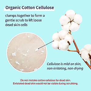 Ebanel Exfoliating Face Scrub Peeling Gel with Aloe, Honey, Peptides, 4.12 oz (122 ml)