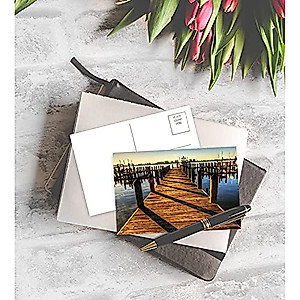 Best Paper Greetings 40 Pack Bulk Animal and Travel Postcards From Around the World for Mailing, Assorted Nature Thank You Notes (4 x 6 In)