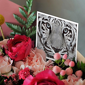 3dRose White Tiger with a Little Tonque - Greeting Cards, 6 x 6 inches, set of 6 (gc_62816_1)