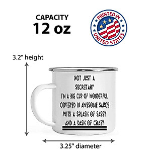 Inspirational Gift Secretaries Appreciation Gift, for Administrative Professionals Day - Big with Humor and Sauce, 12 Oz White Stainless Steel Camping Mug