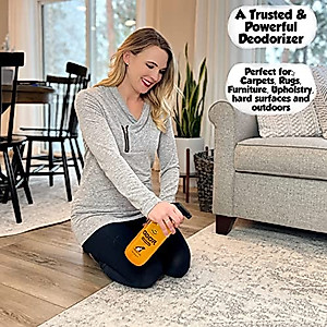 Lots of Lemon - Pet Odor Eliminator for Home - Professional Strength Citrus Infused Enzyme Powered Urine Odor Eliminator for Carpet, Furniture, Hardwood Floors & Rugs - Small Dogs