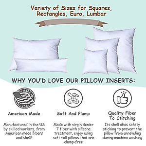 Pillowflex Synthetic Down Pillow Insert - 24x24 Down Alternative Pillow, Large Euro Pillow Square Ultra Soft Throw Pillow, Euro Bed Sham - 1 Decorative Form