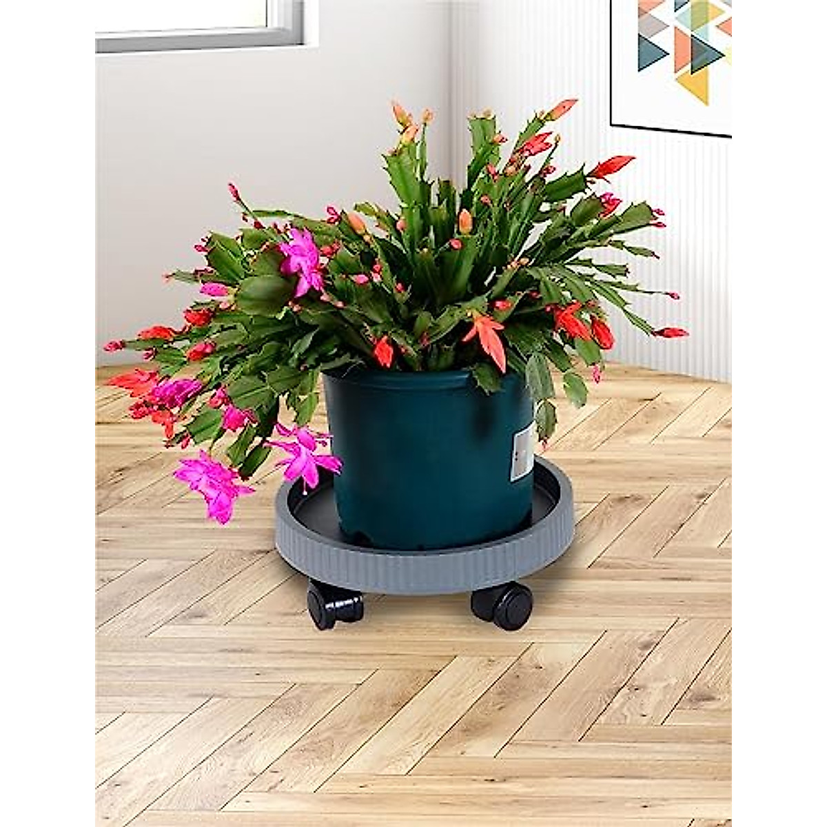 3 Pack Plant Caddie with Wheels and Water Storage Tray, 12.6" Rolling Plant Stand, 4-Wheeled Plant Roller, Lockable Casters, Heavy Duty Plant Caddy for Large Indoor and Outdoor Planters