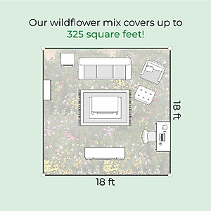 Created By Nature Texas Wildflower Seed Mix, Covers 325 Sq Ft, 17 Flower Varieties, Over 60,000 Seeds