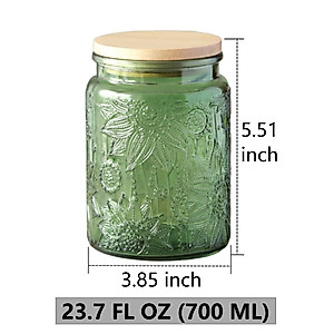 ANSQU Set of 2 Glass Jars with Lids, 23.7 FL OZ Vintage Glass Storage Jars, Cookie Jar Sugar Container for Kitchen Counter, Pantry, Candy Jar with Lid (Green)