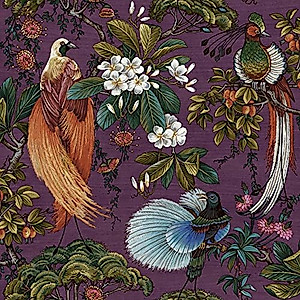 Holden Outside in Songbird Bird Theme Oriental Tropical Wallpaper Feature Wall Bedroom Livingroom Plum Deep Purple 13150