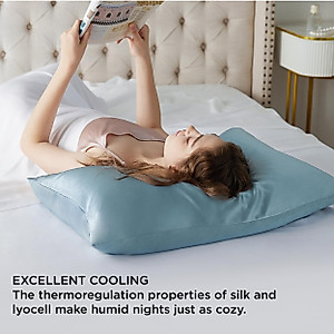 Bedsure Silk Pillowcase for Hair and Skin, Blue Silk Pillow Cases Queen Size, Gifts for Women and Men, 20x30 Inches(1 PCS)