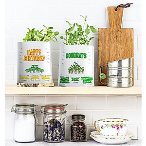 GIFT A GREEN HAPPY BIRTHDAY Greeting Card Greeting Cards with Organic Microgreens! Just Like A Post Card, Simply Mail and Recipient Gets to Grow & Eat | Cards for All Occasions | 1 PACK
