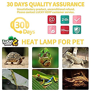 LUCKY HERP New Upgrade 100W Reptile Heat Lamp Bulb (3rd Gen, Safer), Amphibian Basking Spot Light Bulb, UVA Reptile Daylight Bulb for Turtle, Bearded Dragon, Lizard Heating Use (2 Pack)
