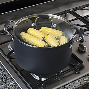 Ecolution Symphony Multipurpose Forged Reinforced Ergonomic Cool-Touch Silicone Handle, Dishwasher Safe, Nonstick, Stockpot - 8 Quart, Grey