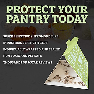 Pantry Moth Traps 6 Pack | Child and Pet Safe | No Insecticides | Premium Attractant